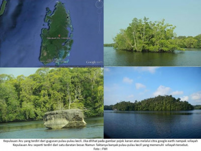 7 Interesting Facts of Aru Islands - Forest Watch Indonesia