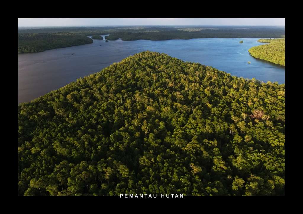 Deforestasi Dari Masa ke Masa - Forest Watch Indonesia