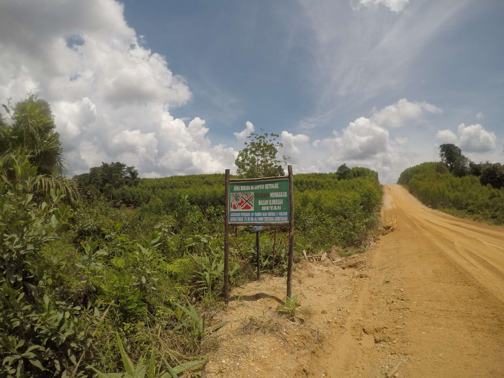 Perhutanan Sosial - Forest Watch Indonesia