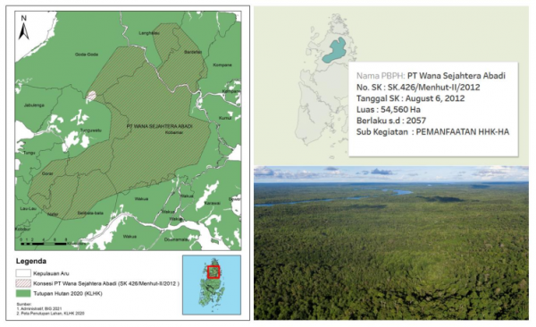 GELOMBANG ANCAMAN KE-4 HUTAN DI KEPULAUAN ARU: Izin Eksploitasi Hutan ...