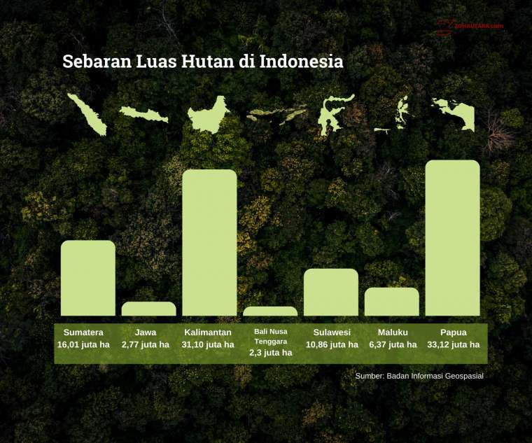 Hutan Papua dan Kalimantan Alami Deforestasi yang Tinggi - Forest Watch ...