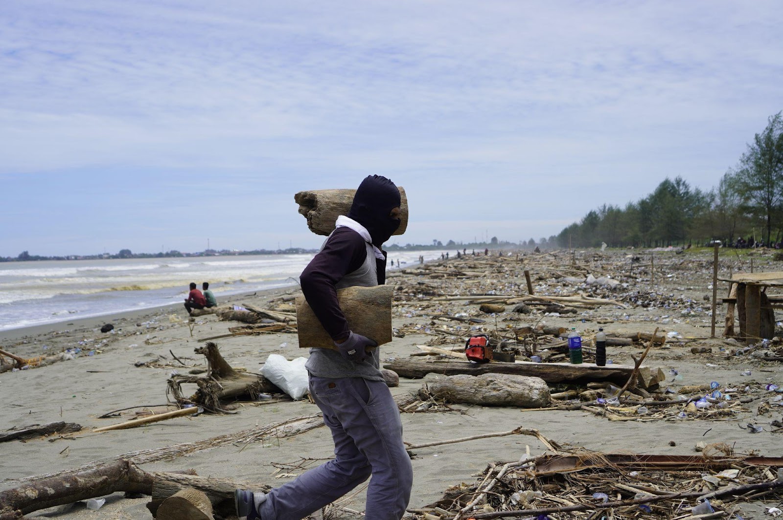 Co-firing Sumber Energi Bersih di Aceh, Antara Pasokan dan Isu Degradasi Lingkungan - Forest ...